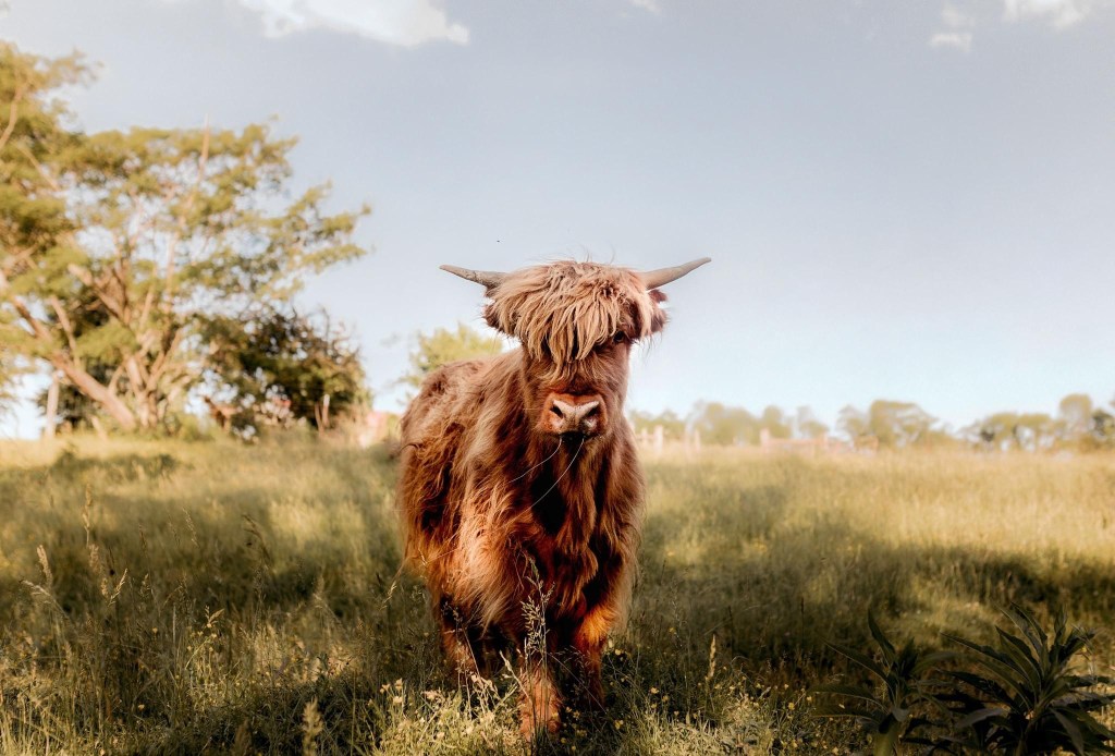 Kasey O’Connor Photography – Dylan Farms