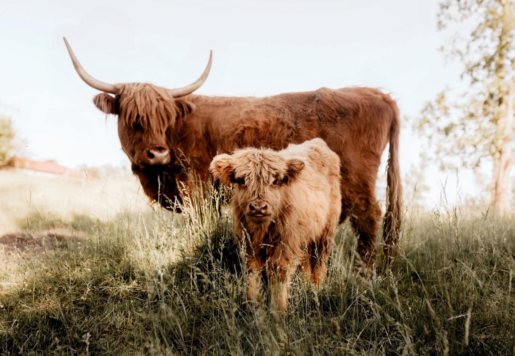 Kasey O’Connor Photography – Dylan Farms